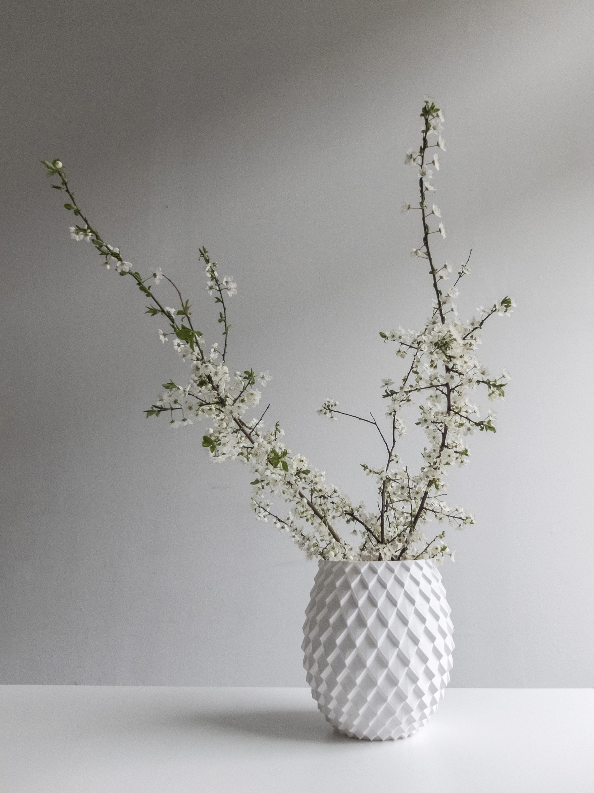TOM WÜNSCHMANN architecture+design : Parametric vase design